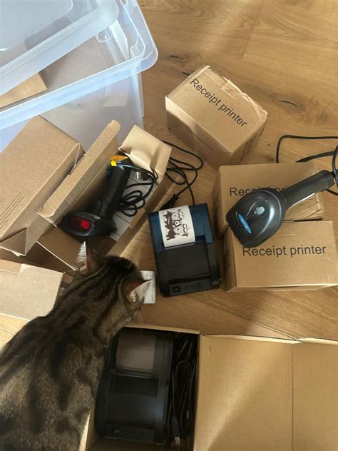 Dhbw Dhbwkarlsruhe Cat Tommythecat Softwareengineering Mathis