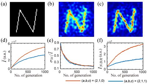 Scoring Based Genetic Algorithm For Wavefront Shaping To Optimize
