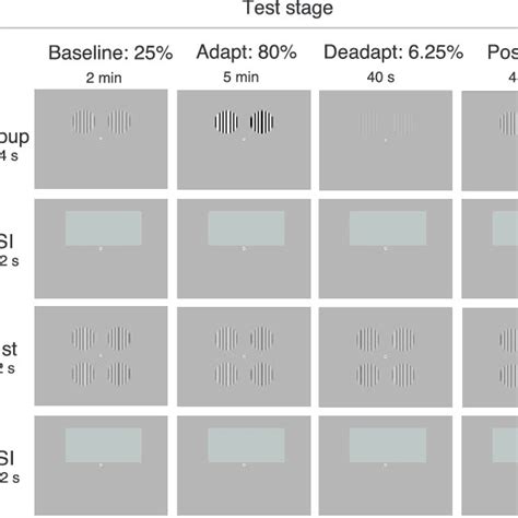 Schematic Of Methods In The Contrast Detection Experiment Experiment 2