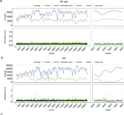 Mtdna Depth Of Coverage And Methylation With Three Different Alignment