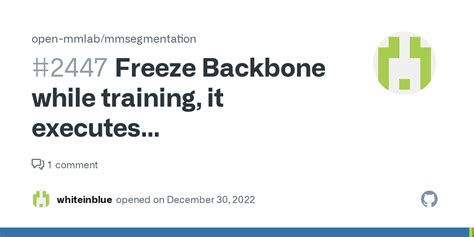 Freeze Backbone While Training It Executes Self Freeze Stages Function On Each Training