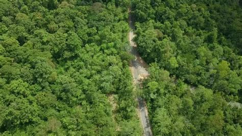 Imagens De Phen Explore Fotografias Do Stock Vetores E Vídeos De 417