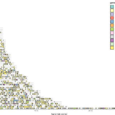 A Genome Architecture Plot Of The Contiguous Sequences That Encode Download Scientific Diagram