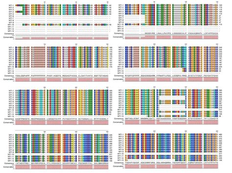 genes and cancer on linkedin genes and cancer expression profile of