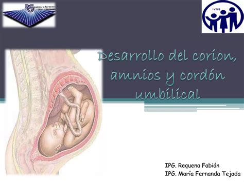 Desarrollo Del Corion Amnios Y Cordón Umbilical Pptx