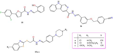 Acylhydrazones And Their Biological Activity A Review Pmc