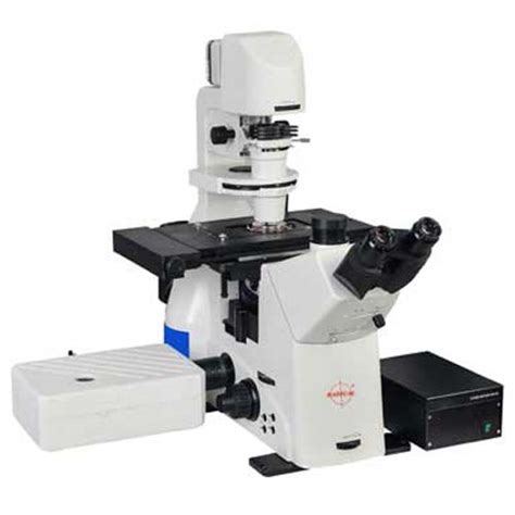 Laboratory Confocal Microscopes At Best Price In Ambala Cantt Haryana Radical Scientific