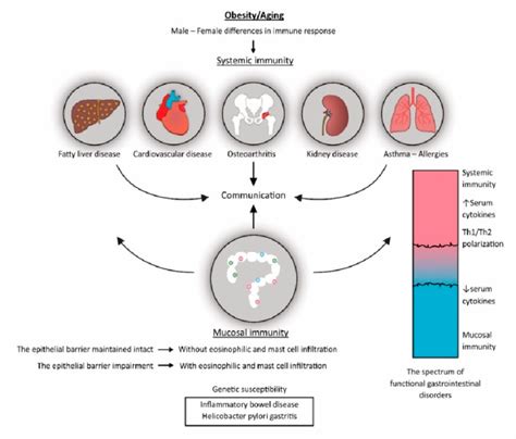 The Spectrum Of Inflammation Mediated Chronic Disorders Communicating Download Scientific