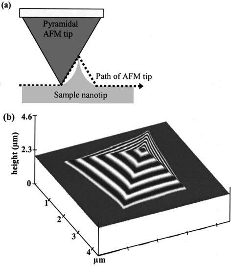 A Illustration Of Convolution Effects Between The Afm Tip And The Download Scientific Diagram