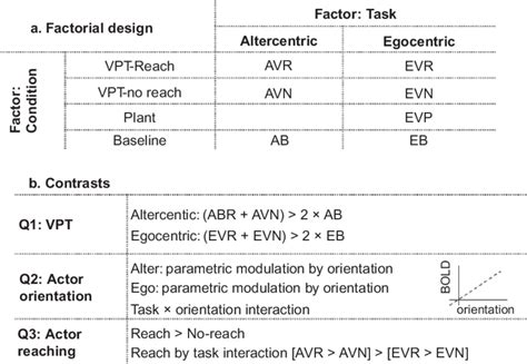 Factorial Design And Contrasts A This Table Depicts The 2 × 4