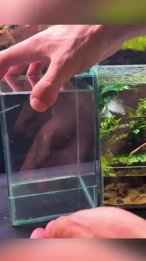 Moment Of Zen Moss Terrarium Album On Imgur