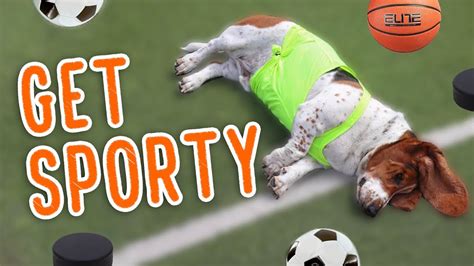 Get Sporty With Dean Youtube