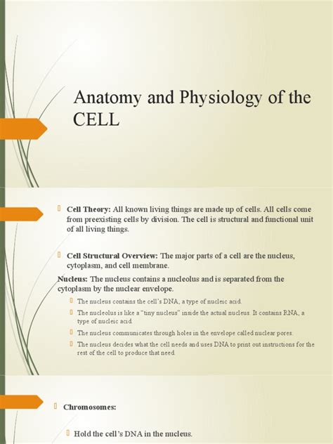 Anatomy And Physiology Of The Cell Pdf Cell Biology Endoplasmic