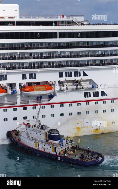 Freedom Ship Scam
