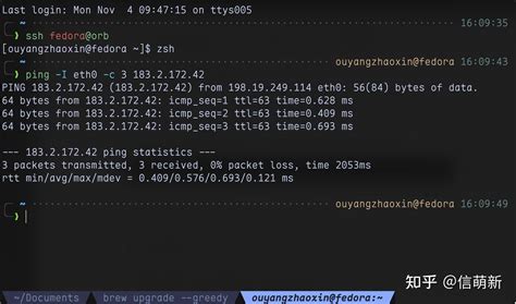 【计算机网络】macos 和 Linux 的 Ping 命令 知乎