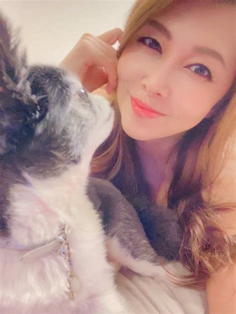 Av배우 역대 최다 작품 수 Top3 인물갤 코리언즈 커뮤니티