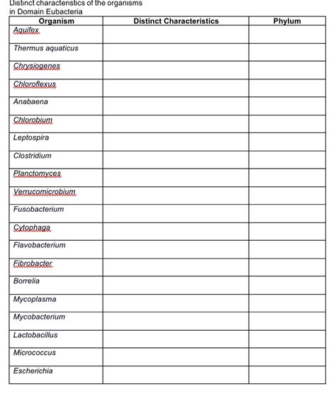 Eubacteria Kingdom Characteristics