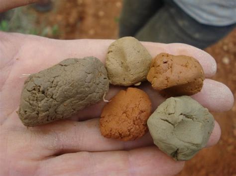 1 Day Intro Permitted Cob — Mud Dauber School