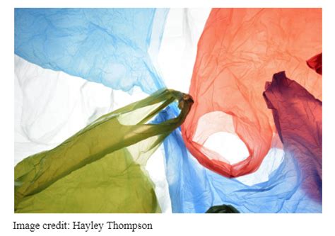 A Solution To Portsmouths Single Use Plastic Problem The Paperclip