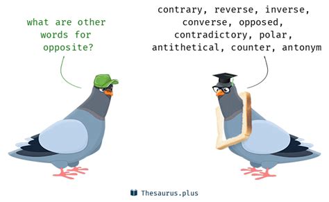 Opposite Synonyms And Opposite Antonyms Similar And Opposite Words For
