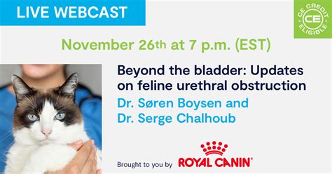 Beyond The Bladder Updates On Feline Urethral Obstruction — Ontario Association Of Veterinary