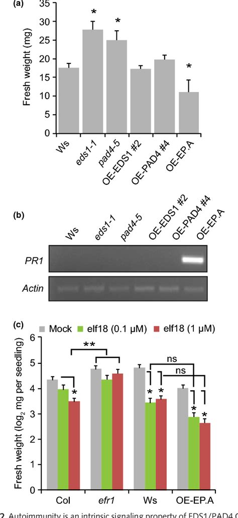 Figure 2 From A Core Function Of Eds1 With Pad4 Is To Protect The