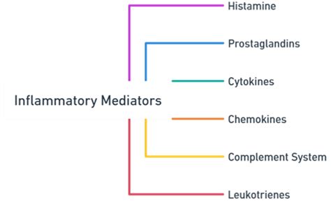 Mediators Of Inflammation And Types Bpharma 2nd Semester Notes