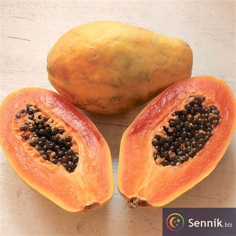 Sennik Papaja Znaczenie Snu W Sennikbiz