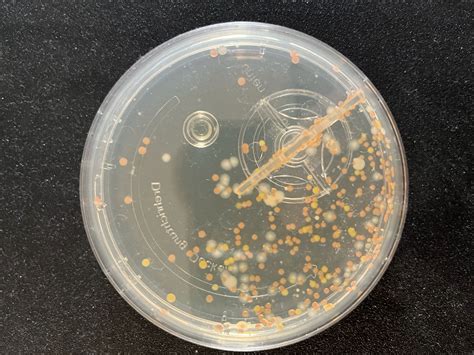 Wassertest Kaufen Trinkwasser Einfach Und Präzise Testen