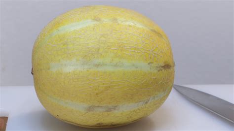 Lemon Drop Melon