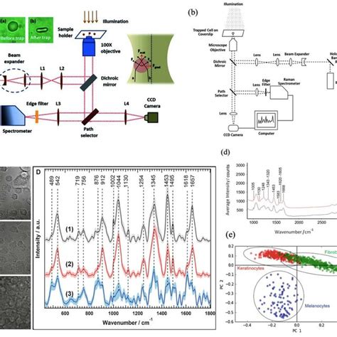 Raman Spectroscopy Techniques Used For Skin Diagnosis Download Scientific Diagram