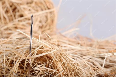 Its Hard To Find A Needle In A Haystack Premium Ai Generated Image