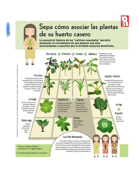 Huertos Familiares Todo Sobre Huerto Ecológico Agricultur