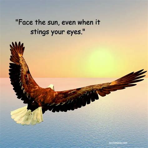 100 Epic Eagle Quotes To Uplift Your Spirit