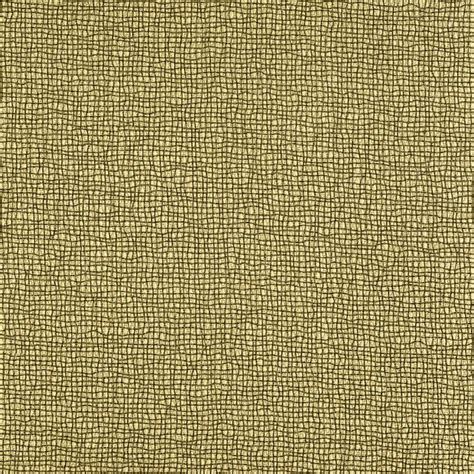 Premium Photo Textuer