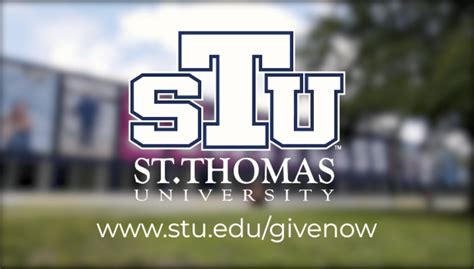 Robyn Hoffman On Linkedin Stu Annual Fund