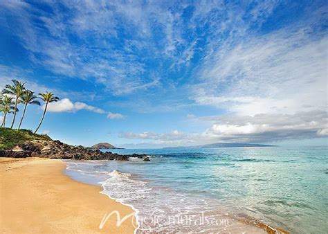 Maui Beach Wallpaper