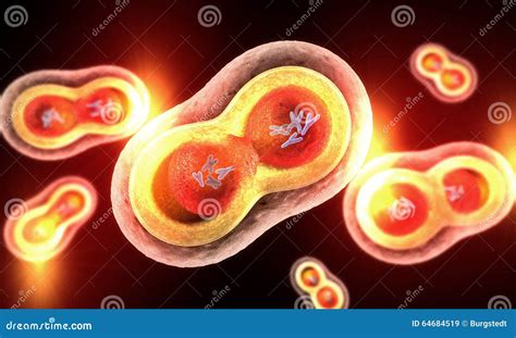 Cells With Nucleus On Scientific Background Stock Illustration