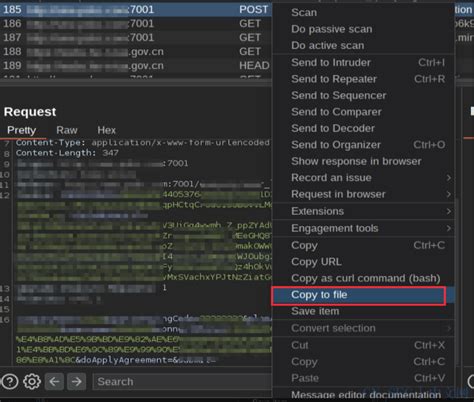 高效漏洞挖掘：利用 Sqlmap 与 Burpsuite 实现批量 Sql 注入扫描 Cn Sec 中文网