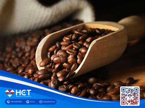 Giá Cà Phê Thế Tăng Cao Biến đổi Khí Hậu Và Xu Hướng Thị Trường Mới Hct