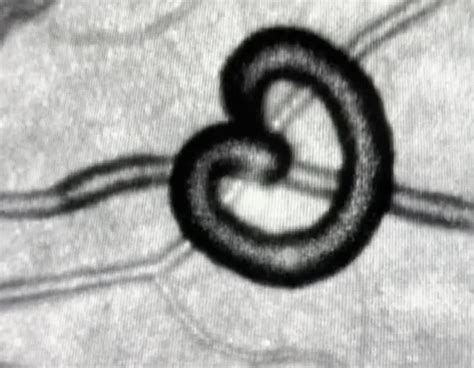 Emma Groenke Posted On Linkedin