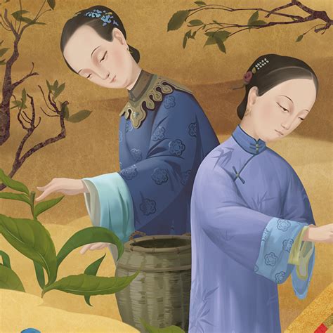 【插画】历时一个半月，通草画创作品品香海丝地图柒文鱼 站酷zcool