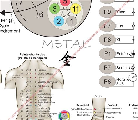 French Five Elements Of Acupuncture Points Poster Body Of Elements