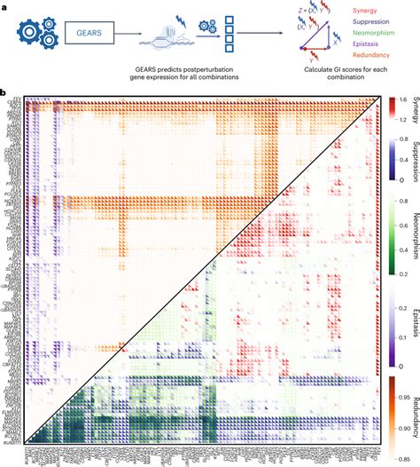 Gears Can Search Perturbational Space For Novel Genetic Interactions Of