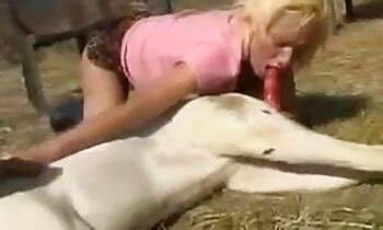 Kostenloser Pferdeporno Kostenlose Zoo Porno Videos Heiße Tierpornos