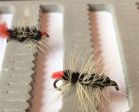 Popular Bluegill And Sunfish Flies