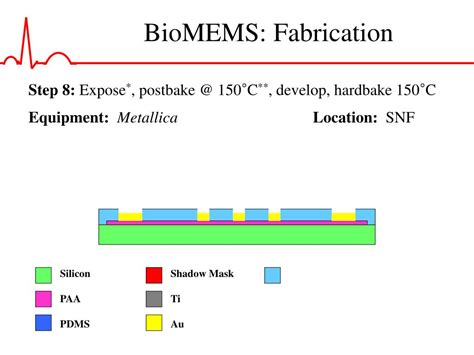 Ppt Fabrication Process Pdms Electrode Array Powerpoint Presentation