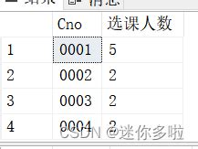 SQL server实现分组并显示组内数据个数功能例统计每门课的学生数 sql分组以后显示全部数据 CSDN博客