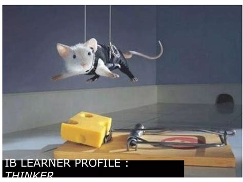 Ib Learner Profile Ppt Professional School Postgraduate Education
