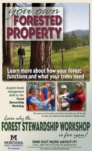 Forest Stewardship Program Forest Stewardship Program Montana State